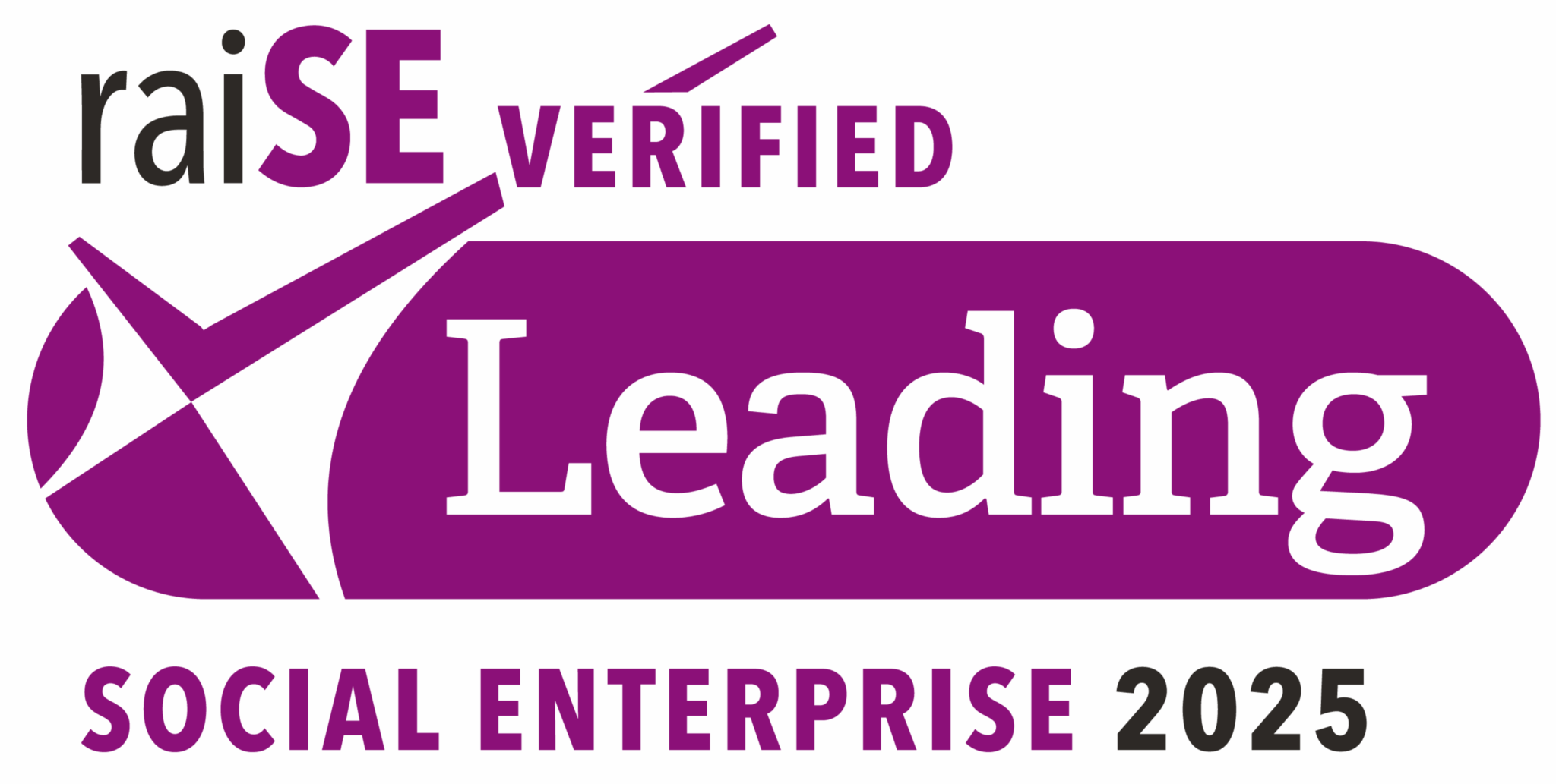 The raiSE membership Categories